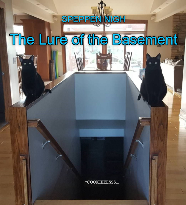 The Lure of the Basement - Lolcats - lol | cat memes | funny cats ...