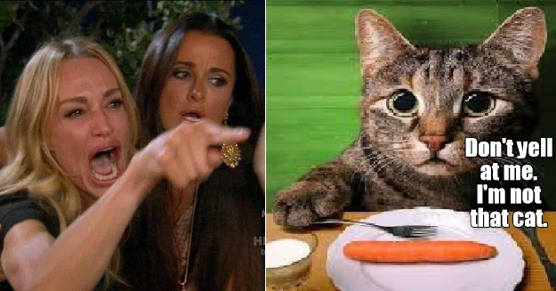 Why is she so meme? - Lolcats - lol | cat memes | funny cats | funny ...