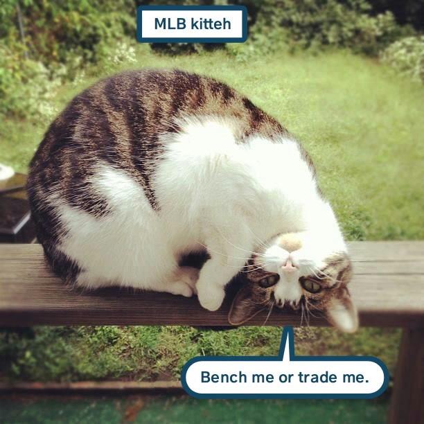 Kitty 'motivation' - Lolcats - lol | cat memes | funny cats | funny cat ...