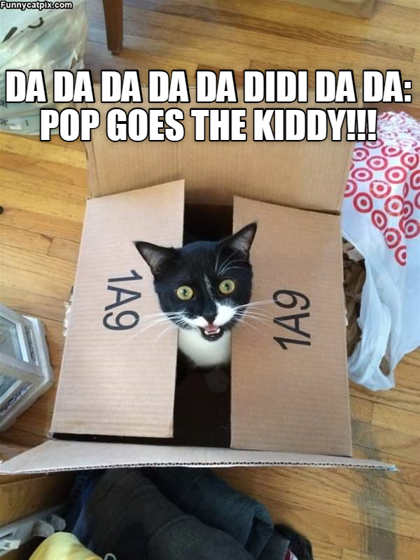 Da da didi da da - Lolcats - lol | cat memes | funny cats | funny cat ...