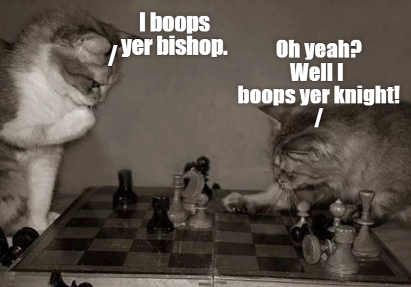 Ruthless Booping - Lolcats - lol | cat memes | funny cats | funny cat ...
