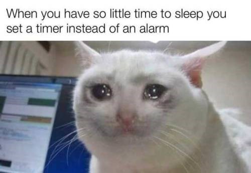 So Little Time To Sleep - I Can Has Cheezburger?