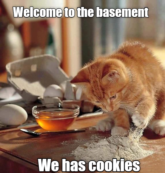 Meowy Berry will bake you a fresh batch - Lolcats - lol | cat memes ...