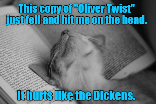 It hurts Oliver - Lolcats - lol | cat memes | funny cats | funny cat ...