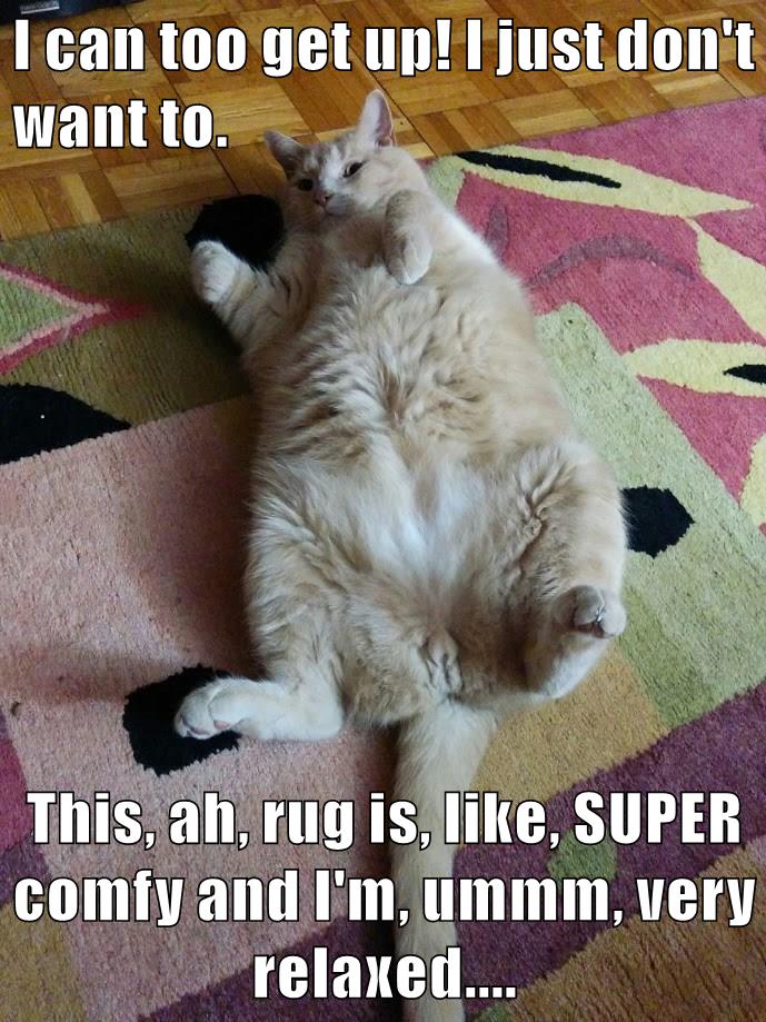 I can too get up! I just don't want to. This, ah, rug is, like, SUPER ...
