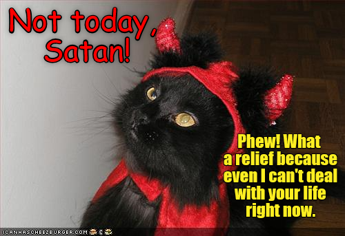 What a mess. - Lolcats - lol | cat memes | funny cats | funny cat ...