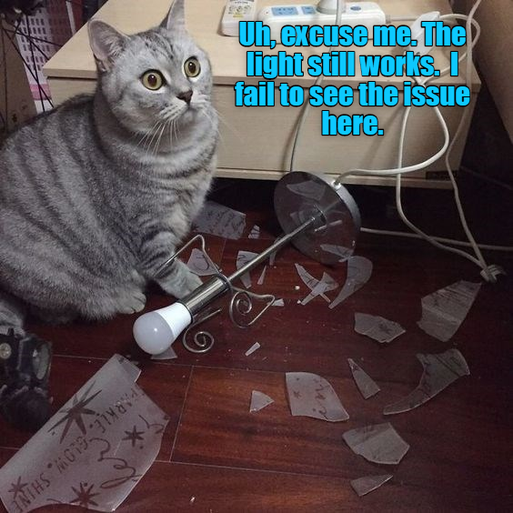 Fail - Lolcats - lol | cat memes | funny cats | funny cat pictures with ...