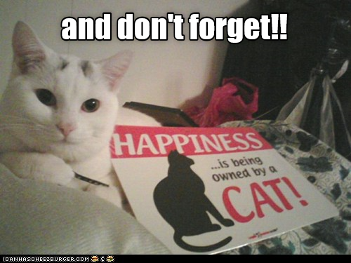And don't forget!! - Lolcats - lol | cat memes | funny cats | funny cat ...