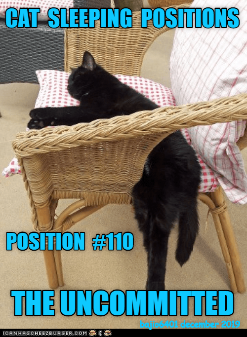THE GUIDE TO CAT SLEEPING POSITIONS - Lolcats - lol | cat memes | funny ...
