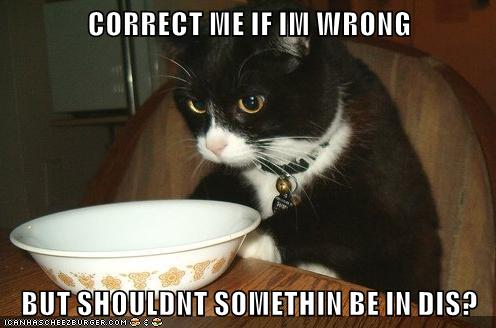 CORRECT ME IF IM WRONG - Lolcats - lol | cat memes | funny cats | funny ...