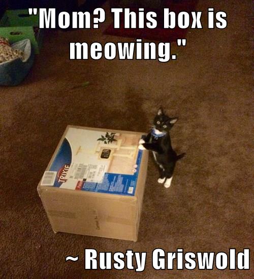 "Mom? This box is meowing." ~ Rusty Griswold - Lolcats - lol | cat ...