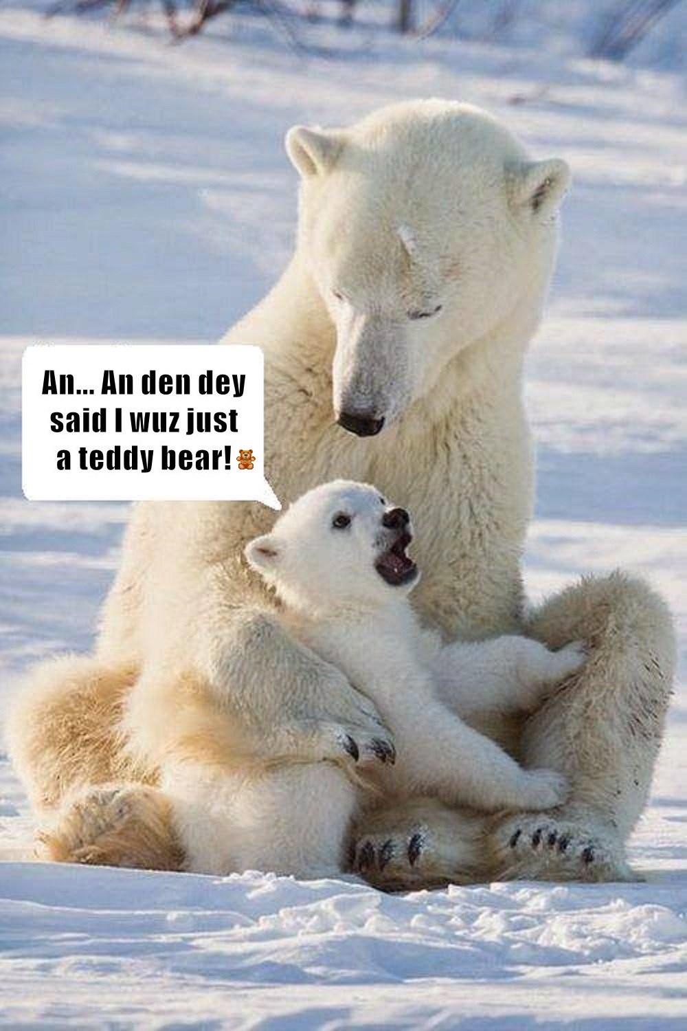 How rude - Animal Comedy - Animal Comedy, funny animals, animal gifs