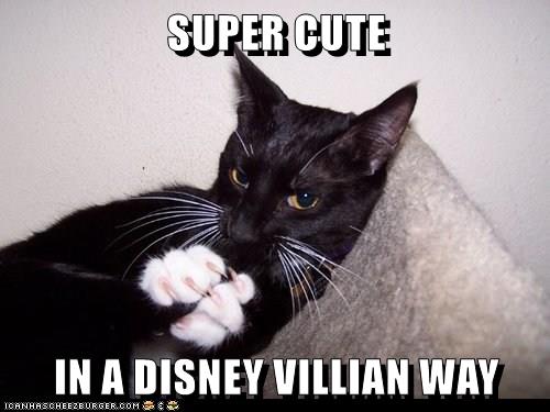 SUPER CUTE - Lolcats - lol | cat memes | funny cats | funny cat ...