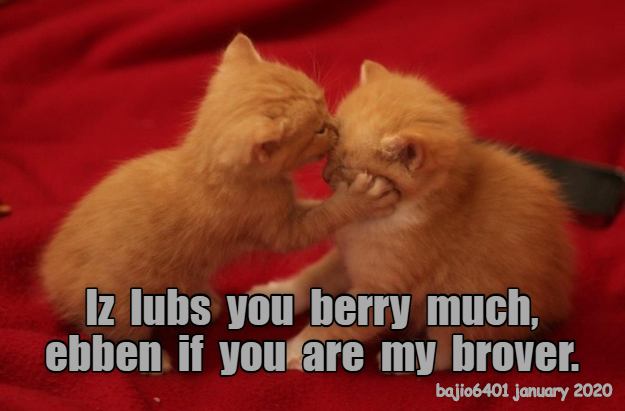 BROTHERLY LOVE MUCH BETTER THAN SIBLING RIVALRY - Lolcats - lol | cat ...