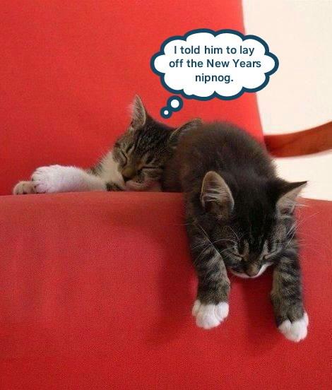 Avoidable hangover - Lolcats - lol | cat memes | funny cats | funny cat ...