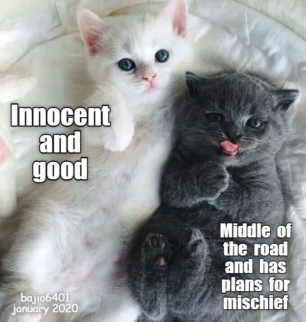 YOU NEVER KNOW WHAT THEY'RE THINKING - Lolcats - lol | cat memes ...