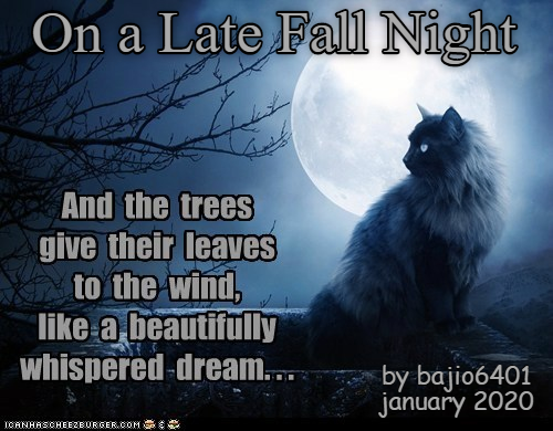 ON A LATE FALL NIGHT - Lolcats - lol | cat memes | funny cats | funny ...