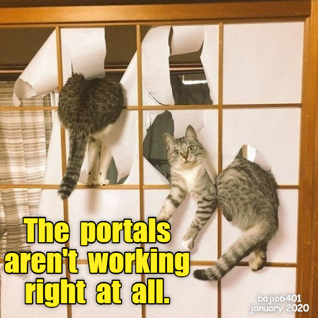 THIS ISN'T HOW THEY'RE SUPPOSED TO WORK - Lolcats - lol | cat memes ...