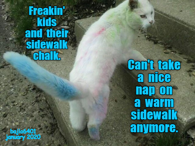 AND I HATE THE TASTE OF IT WHEN I CLEAN MYSELF UP - Lolcats - lol | cat ...