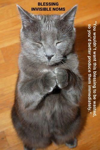 Praise Ceiling Cat and pass the nom-nutrition - Lolcats - lol | cat ...