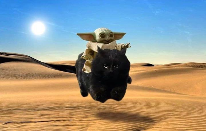 Whoever photoshopped- this is the best! - I Can Has Cheezburger?