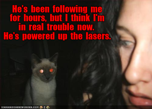 TARGET ACQUIRED, ATTACK IMMINENT - Lolcats - lol | cat memes | funny ...