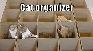 Cat organizer - Lolcats - lol | cat memes | funny cats | funny cat ...