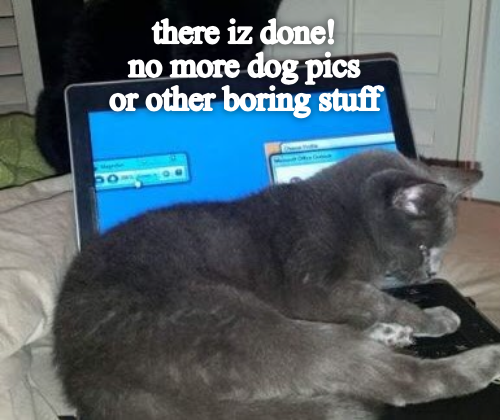 Beware Of Cat Computer Cleaning Service - Lolcats - lol | cat memes ...