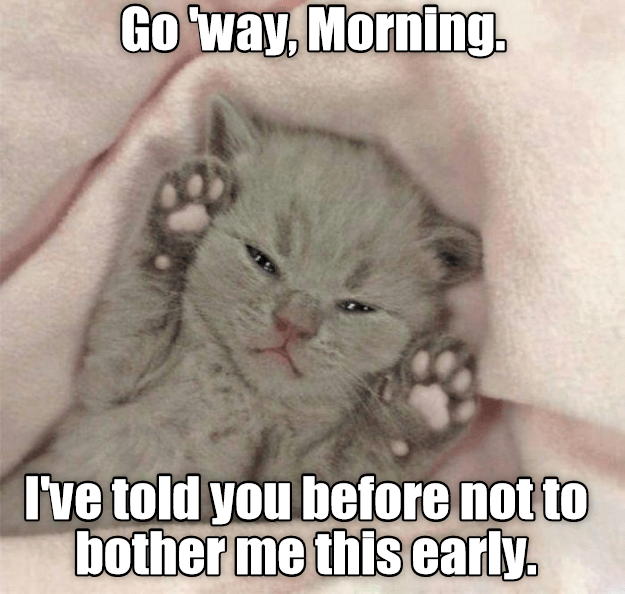Rise & whine, sunshine! - Lolcats - lol | cat memes | funny cats ...