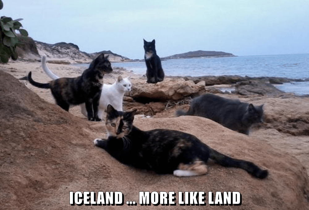 ICELAND ... - Lolcats - lol | cat memes | funny cats | funny cat ...