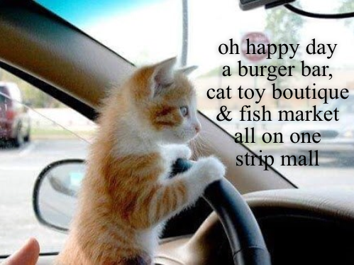 Kudos 2 Our City Planners - Lolcats - lol | cat memes | funny cats ...