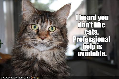 Get some help. Fast - Lolcats - lol | cat memes | funny cats | funny ...