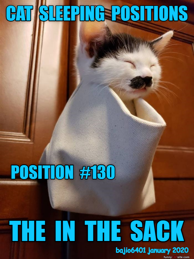 THE GUIDE TO CAT SLEEPING POSITIONS - Lolcats - lol | cat memes | funny ...