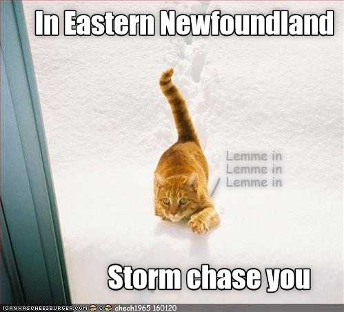 Itz big and windy and snowy - Lolcats - lol | cat memes | funny cats ...