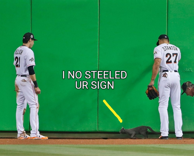 Astro Cat - Lolcats - lol | cat memes | funny cats | funny cat pictures ...