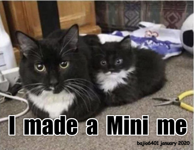 AND SO PROUD OF IT - Lolcats - lol | cat memes | funny cats | funny cat ...