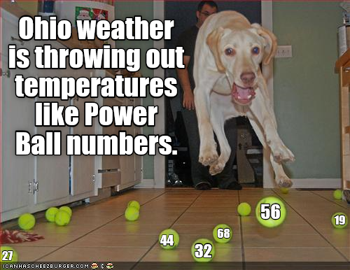 How do you dress for that? - I Has A Hotdog - Dog Pictures - Funny ...