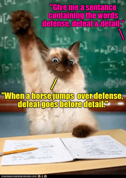 Good answer, good answer. - Lolcats - lol | cat memes | funny cats ...