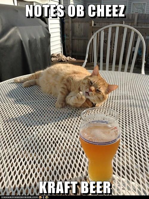NOTES OB CHEEZ KRAFT BEER - Lolcats - lol | cat memes | funny cats ...