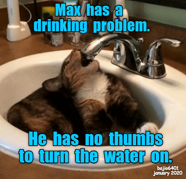 MODERN CAT PROBLEMS - Lolcats - lol | cat memes | funny cats | funny ...