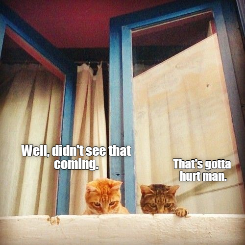 Gotta hurt - Lolcats - lol | cat memes | funny cats | funny cat ...