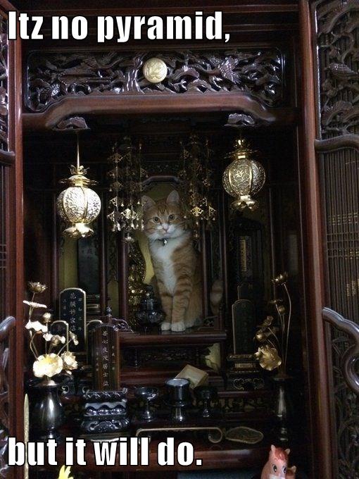 Itz no pyramid, but it will do. - Lolcats - lol | cat memes | funny ...