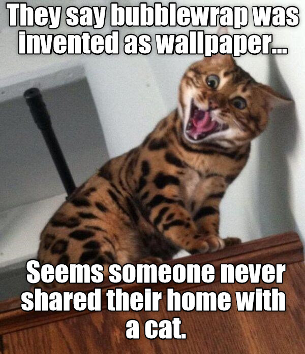 Just sayin' - Lolcats - lol | cat memes | funny cats | funny cat ...