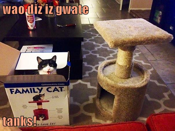 Tanks! - Lolcats - lol | cat memes | funny cats | funny cat pictures ...