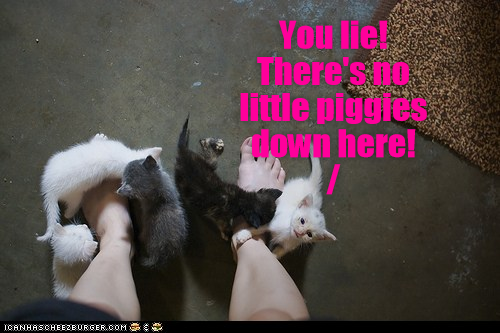 Nuthin' but toes... - Lolcats - lol | cat memes | funny cats | funny ...