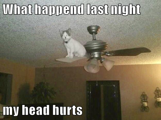 My head is spinning - Lolcats - lol | cat memes | funny cats | funny ...