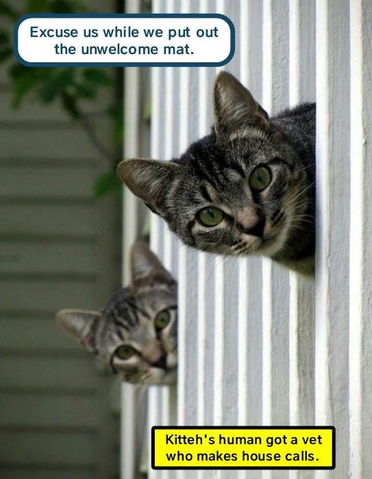 Begone, fiend - Lolcats - lol | cat memes | funny cats | funny cat ...
