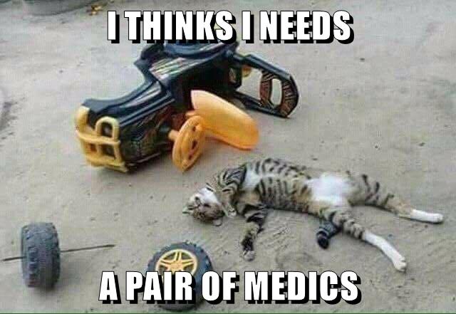 I THINKS I NEEDS A PAIR OF MEDICS - Lolcats - lol | cat memes | funny ...