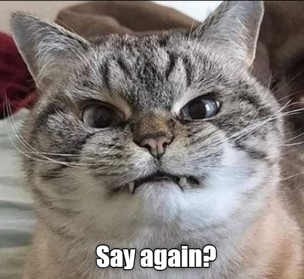 Re:peat - Lolcats - lol | cat memes | funny cats | funny cat pictures ...