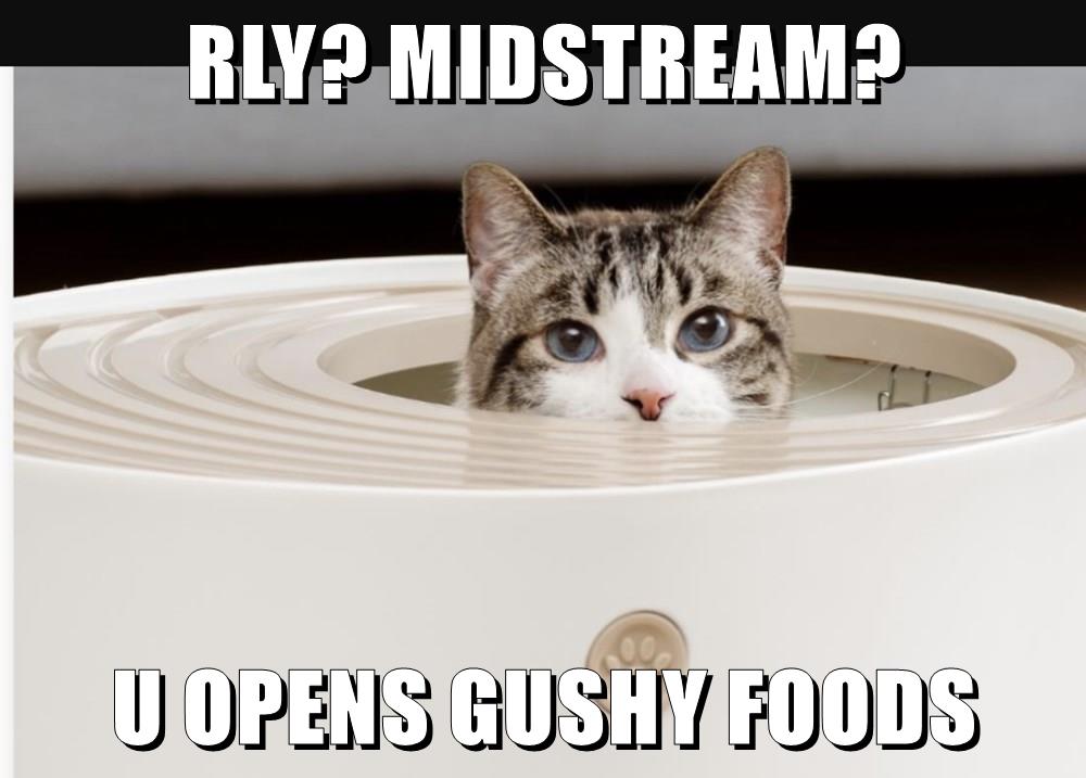 RLY? MIDSTREAM? - Lolcats - lol | cat memes | funny cats | funny cat ...